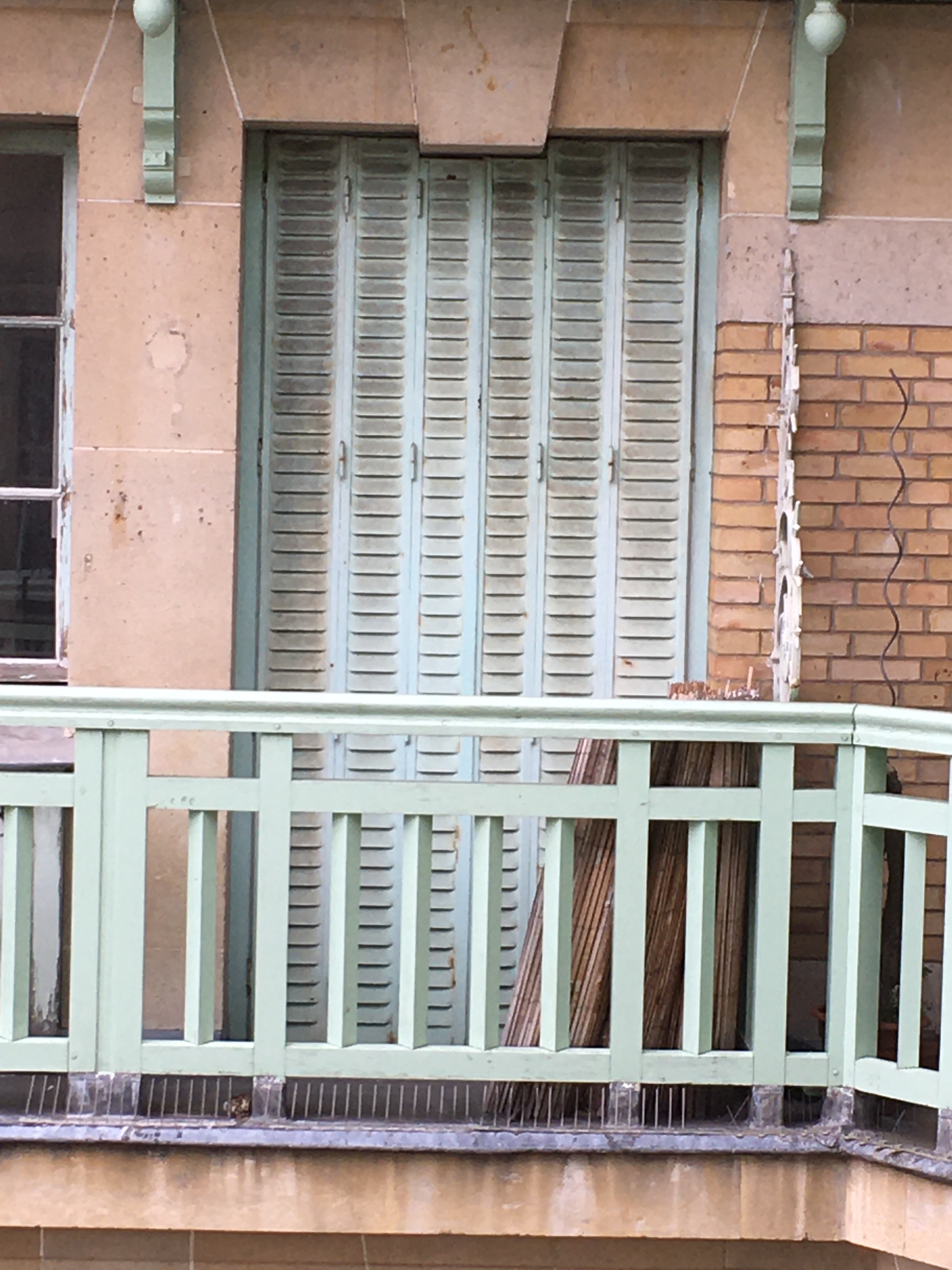 On Paris Shutters – The Occasionally-Examined Life
